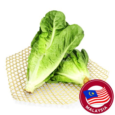 Pasar Mini Romaine Ntuc Fairprice