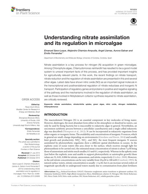 Pdf Understanding Nitrate Assimilation And Its Regulation In Microalgae