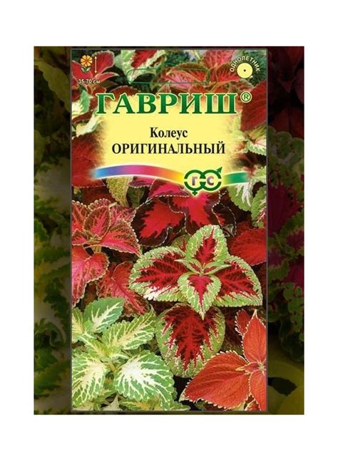 Колеус Оригинальный, смесь (0,03 г)
