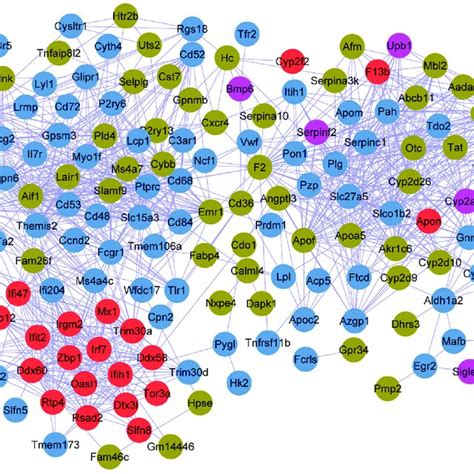 Hierarchical Clustering Tree For Genes With Co Expression Interactions