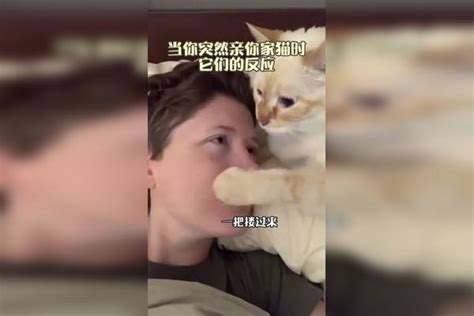 当你突然亲你家猫咪的时候，猫咪会有什么反应呢？猫咪时候什么
