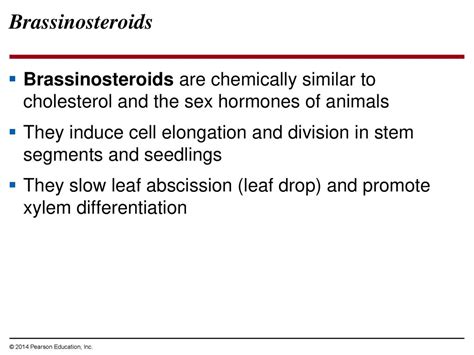 Plant Responses To Internal And External Signals Ppt Download