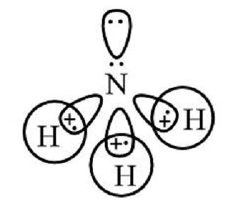 Draw An Orbital Overlap Diagram For Ammonia Nh3 Homew Vrogue Co