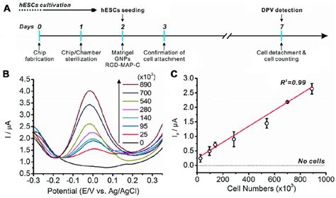 Linear Correlations Between Differential Pulse Voltammetry DPV