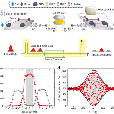 schematic of quantum error detection a experimental setup the