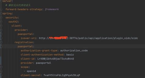 apollo对接OIDC必须是https吗 Issue apolloconfig apollo GitHub