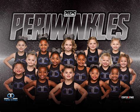 About 1 — Cheer Twin Cities
