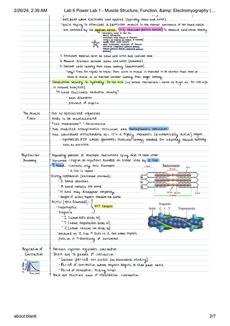 Solution Lab 6 Power Lab 1 Muscle Structure Function Electromyography