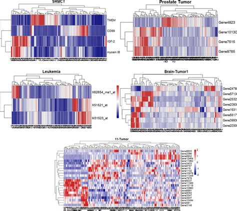 The Gene Expression Level Of The Best Subset Of Selected Genes Shown As Download Scientific