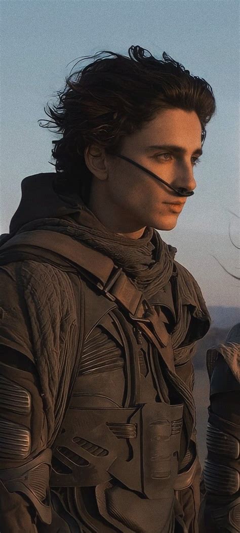 Дюна Тимоти Шаламе Mooie Mensen Mooie Jongens Portret