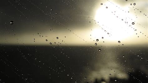 Raindrop 1080p 2k 4k 5k Hd Wallpapers Free Download Wallpaper Flare