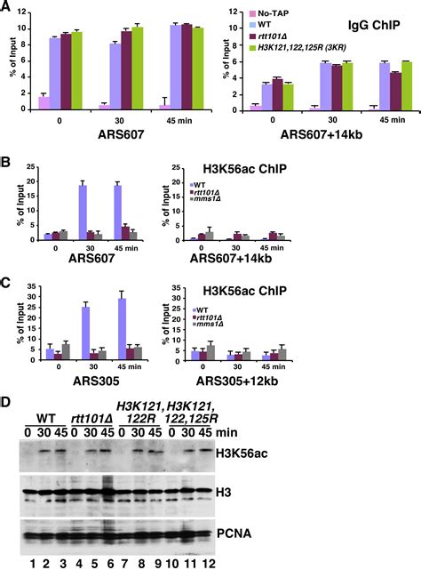 A Cul4 E3 Ubiquitin Ligase Regulates Histone Hand Off During Nucleosome