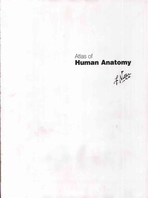Netter M D Atlas Of Human Anatomy Fourth Edition Pdf Vertebra Human Nose