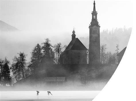 The Lie Tree Homework Booklet Teaching Resources