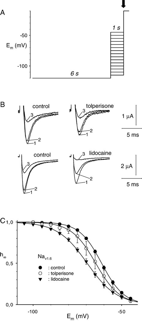 Steady State Inactivation Of Na V16 A Voltage Jump Protocol The Download Scientific Diagram