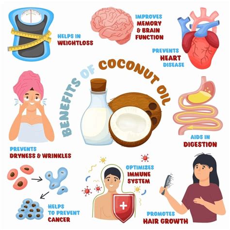 Coconut Functions Over 351 Royalty Free Licensable Stock Vectors