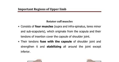 Anatomy General Topics Uldoc Docdroid