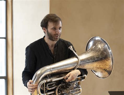 Cikada And Swr Experimentalstudio Cikada And Swr Experimentalstudio