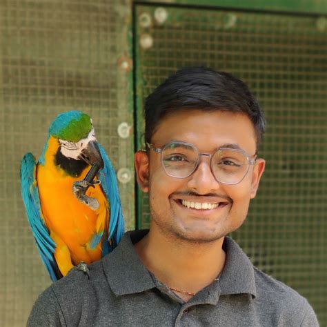 Priyanshu S Portfolio
