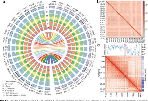 Figure 3 From Telomere To Telomere Assembly Of Cassava Genome Reveals