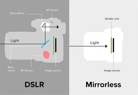 Dslr Vs Mirrorless Cameras Which Is Better Aftershoot