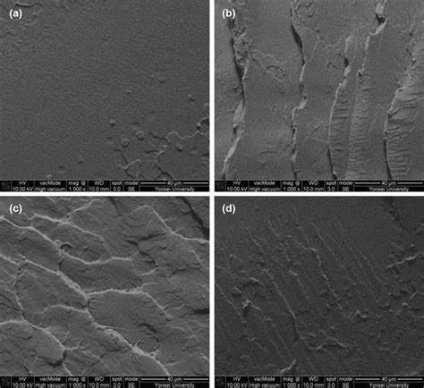 Sem Micrographs Of The Impact Fractured Surfaces Of Plapeo Blends A