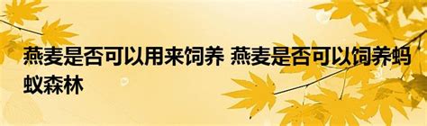 燕麦是否可以用来饲养蚂蚁庄园 饲用价值是多少 工作号