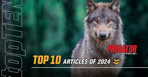 Editors Picks Top 10 Predator Xtreme Stories Grand View Outdoors