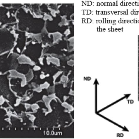 Dual Phase Steel Microstructure Distribution Of Martensite In White
