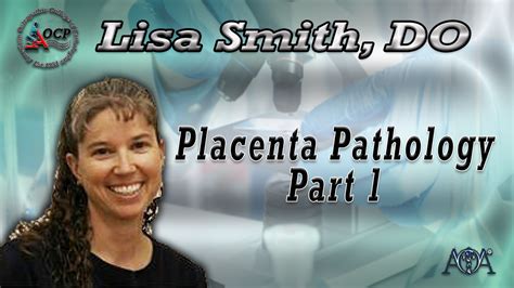 Placenta Pathology Part 1 Aocp Lmshq
