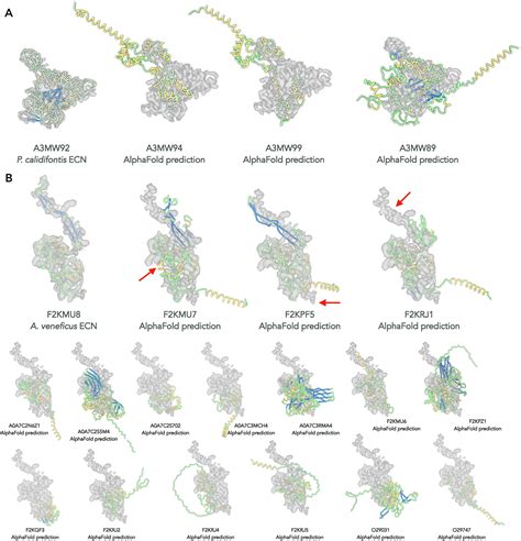 Extracellular Cytochrome Nanowires Appear To Be Ubiquitous In Prokaryotes Cell