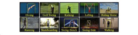 Ucf Sports Datasets Download Scientific Diagram