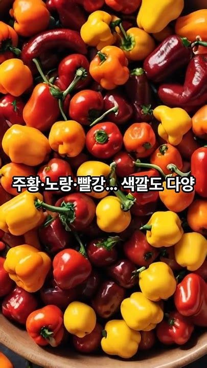 피망💚 Vs 파프리카💗 더 건강한 채소는 파프리카 피망 건강채소 비타민c 베타카로틴 헷갈리는채소 Youtube