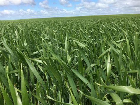 Andy Edwards On Linkedin 606 Hundred Of Makin Road Keith Sa 5267