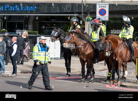 Mounted Police Policing A Democratic Football Lads Alliance Dfla