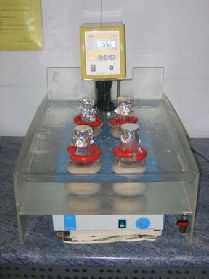 Experimental Set Up Used For The Extraction Of β Glucans From Barley Download Scientific Diagram