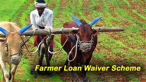 Loan Waiver Scheme For Farmers Likely In Phased Manner Indtoday