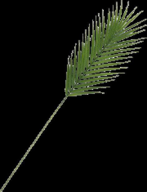 Teko Oksa Saniainen 38 Cm Prisma Fi Verkkokauppa