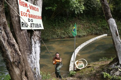 Colombo Projeto Ecológico Recolhe Lixo Do Rio Atuba Tribuna Pr