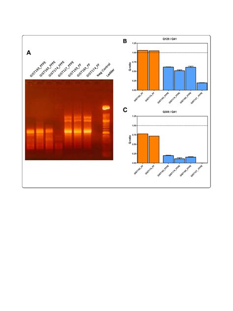 Whole Exome Sequencing Wes On Formalin Fixed Paraffin Embedded Ffpe Tumor Tissue In