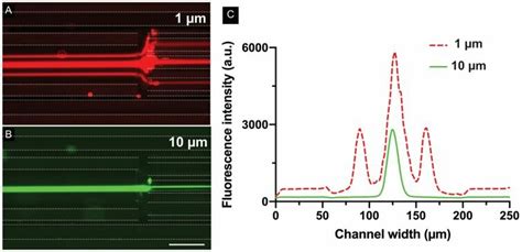A Fluorescent Image Taken At The End Of The Separation Capillary Where Download Scientific