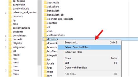 Export A Dns Zone File From Cpanel