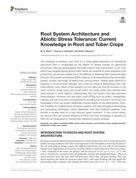 (PDF) Root System Architecture and Abiotic Stress Tolerance: Current Knowledge in Root and Tuber ...
