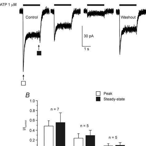 Inhibition Of Atp Induced Currents By Tnp Atp A Atp Induced Current Download Scientific