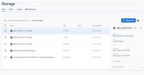 Reactjs React Component Navbar Not Working In Live Server Stack
