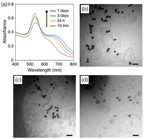 Materials Special Issue Designed Colloidal Self Assembly