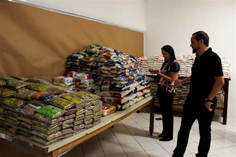 Fundo Social recebe quase toneladas de alimentos Notícias