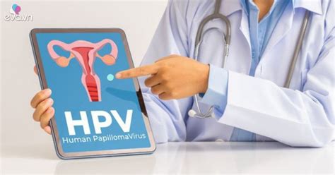 Virus gây u nhú ở người HPV ảnh hưởng đến khả năng sinh sản thế nào