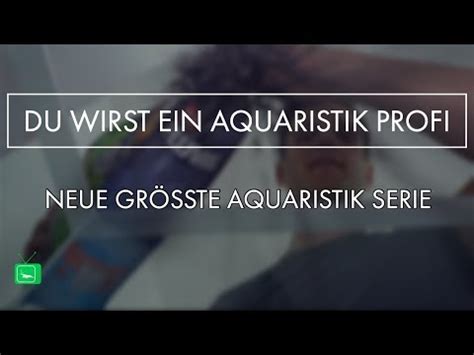 Werd Ein Aquaristik Profi Mit GarnelenTv My Fish Aus Freude An Der