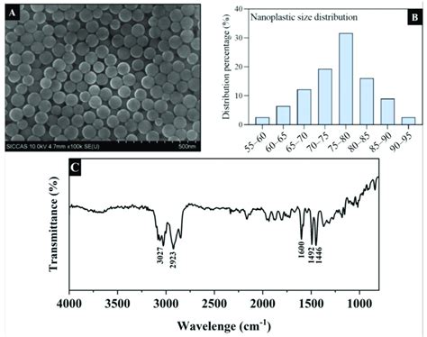 Transmission Electron Microscopy Image Of Polystyrene PS Nanoplastic